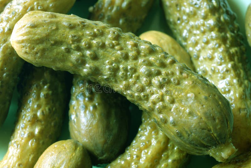 Pickles in close up stock photo. Image of green, food - 153870550