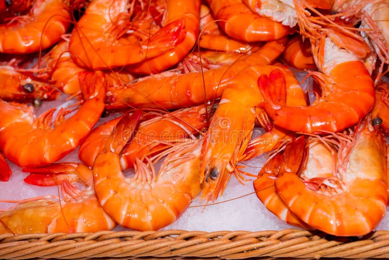 Closeup on Fresh Prawns in a Market Place Stock Image - Image of prawn ...
