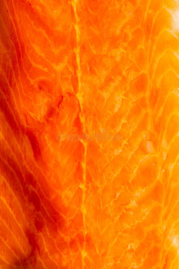 Closeup Fresh Salmon Red Fish Meat As Food Background Texture Stock ...