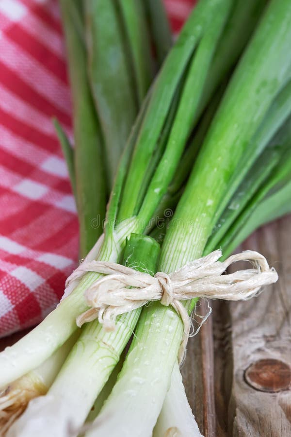Fresh Scallion Bulbs and Sliced Scallions, in White Bowls Stock Image ...