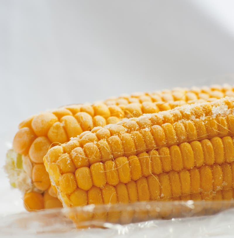 Closeup frozen corn stock photo. Image of gold, food - 22129840