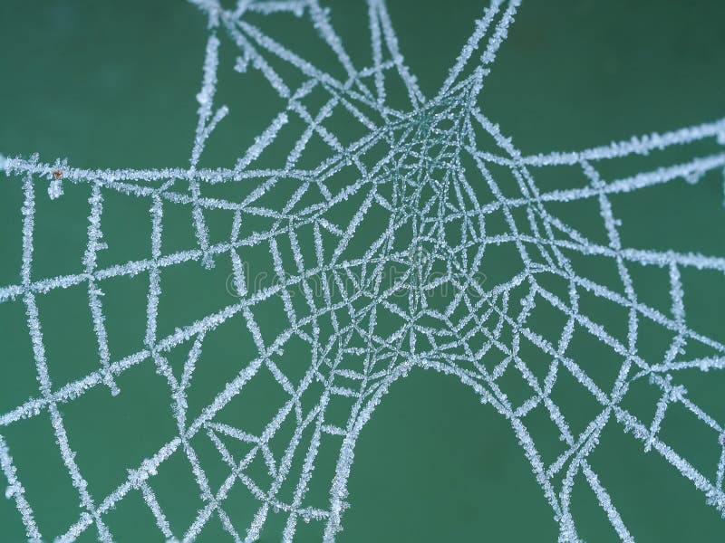 Frozen Dew Spider Web stock photo. Image of beads, freeze - 1813928