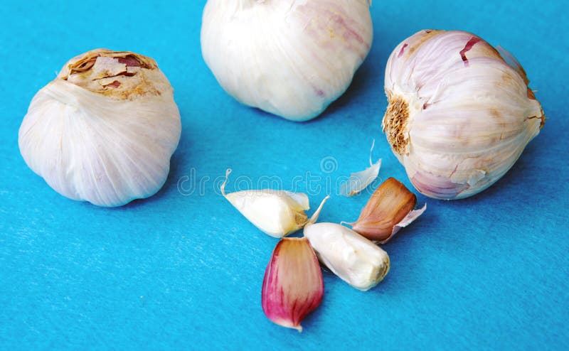 Closeup of Garlic on a Blue Background Stock Image - Image of ...