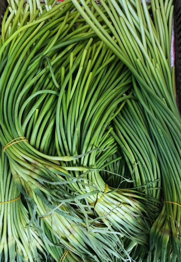 Garlic Scape at Vegetable Market Stock Image - Image of vegetables ...