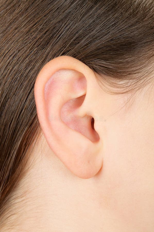 Closeup of a girl ear stock photo. Image of complexion - 45612030
