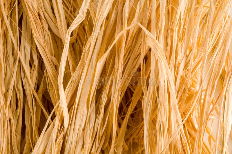 Closeup of golden hay stock photo. Image of agriculture - 198190334