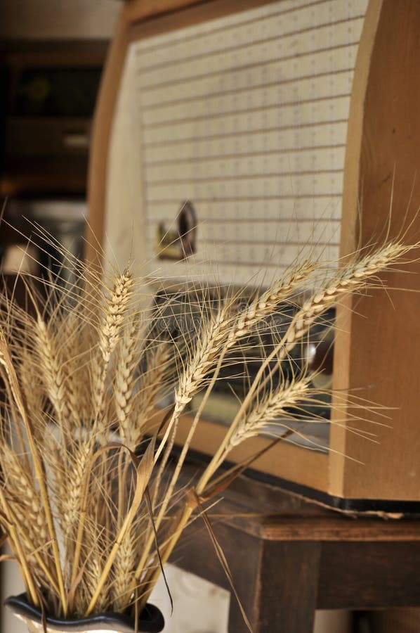 Closeup of Golden Rye Ears and Ancient Radio Set Stock Photo - Image of ...