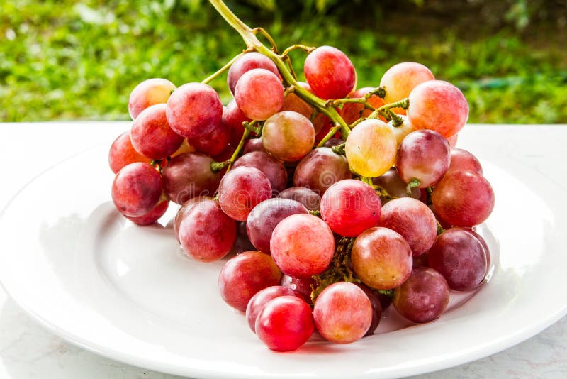 Closeup and grape stock photo. Image of fruit, nature - 34570958