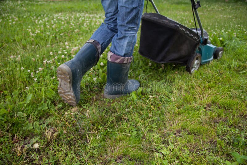 Closeup of grassmower stock image. Image of trim, garden - 96143853