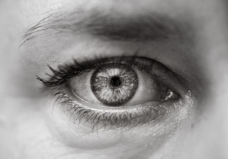 Closeup Grayscale of Beautiful Human Eye Stock Image - Image of ...