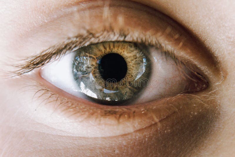 Closeup of a Green Human Eye Looking into the Camera Stock Photo ...