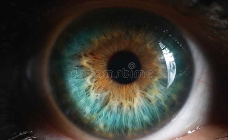 Closeup of Green Human Eye in Low Light Technique Stock Image - Image ...
