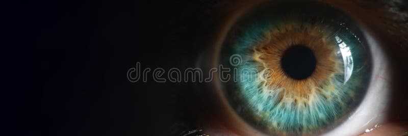 Closeup of Green Human Eye in Low Light Technique Stock Image - Image ...