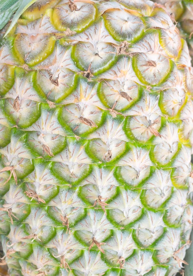 Closeup of Green Pineapple Texture Stock Photo - Image of macro ...