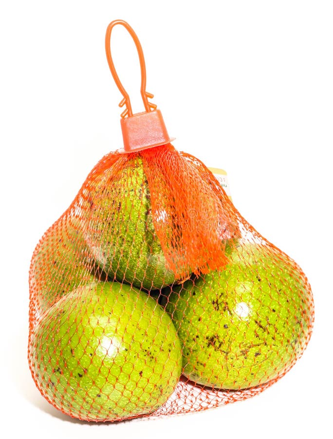 Closeup of Green Thai Avocado in Net Packing Stock Photo - Image of ...