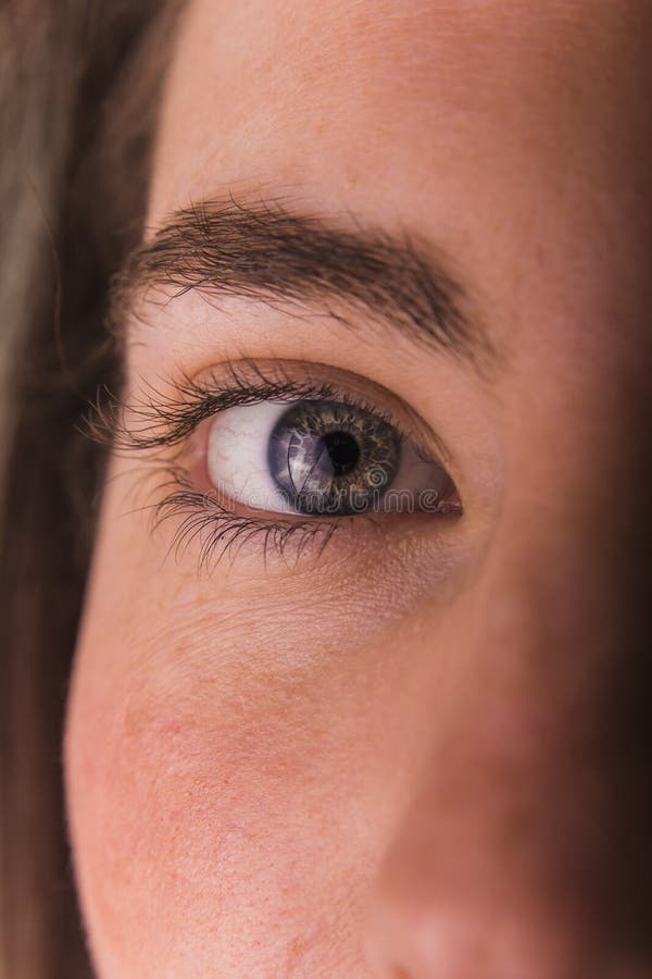 Closeup of a Grey Human Eye Stock Image - Image of oftalmology ...