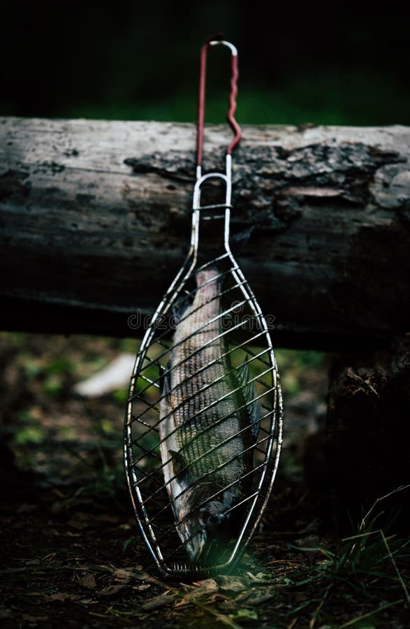 Closeup of a Grill Grate with a Fish Near a Tree Trunk Dark, Blurred ...