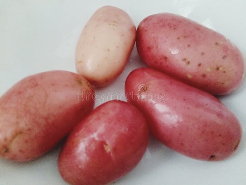 Closeup of Group of Potatoes Stock Image - Image of protein, peel ...