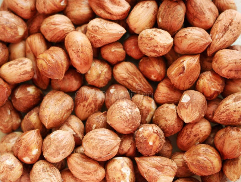 Closeup Group of Tasty and Healthy Hazelnuts Stock Photo - Image of ...