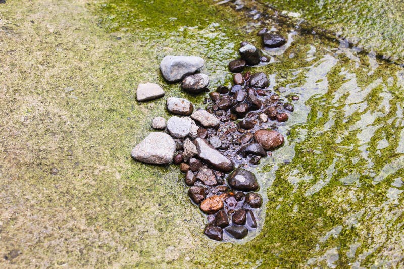 Closeup of Gurgling Water Over Cobblestone in a River Stock Image ...