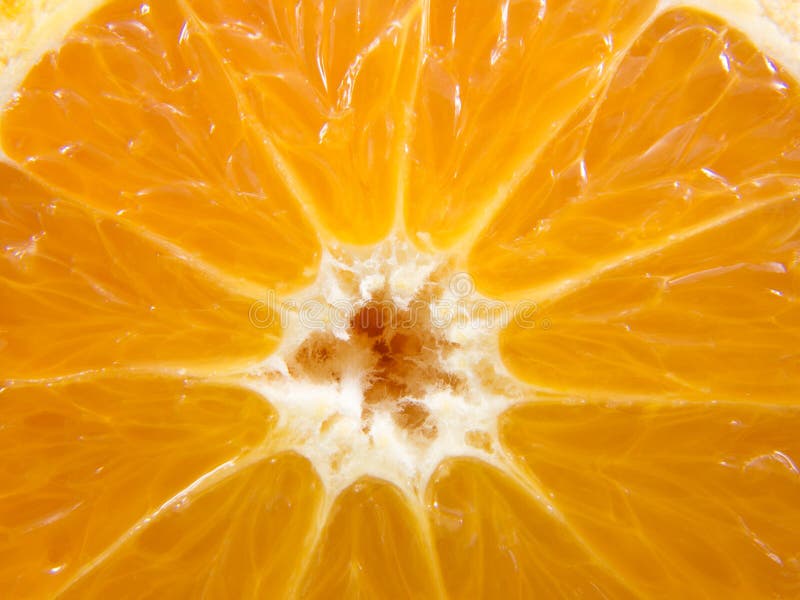 Closeup half orange stock photo. Image of organic, yellow - 52700284
