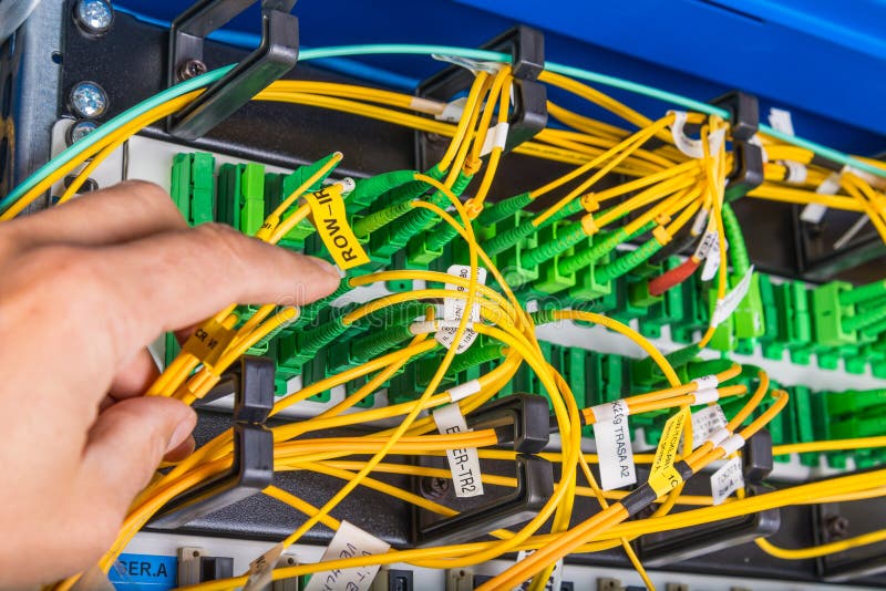 Hand of Engineer Plugging in Ethernet Cable into Server Switch P Stock ...