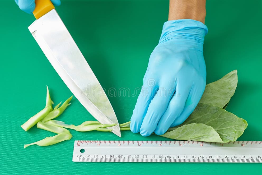 Closeup Hand Cutting Vegetables. Stock Photo - Image of lifestyle ...