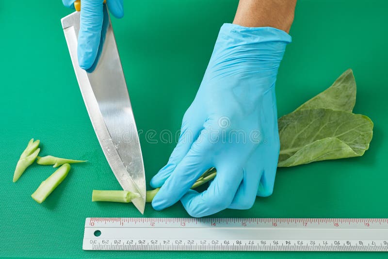 Closeup Hand Cutting Vegetables. Stock Photo - Image of vegetable ...
