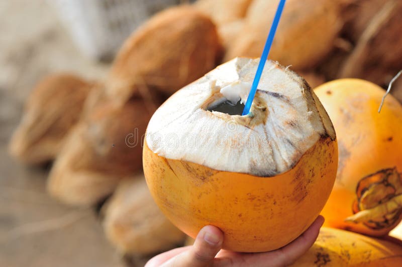 1,438 King Coconut Photos - Free & Royalty-Free Stock Photos from ...