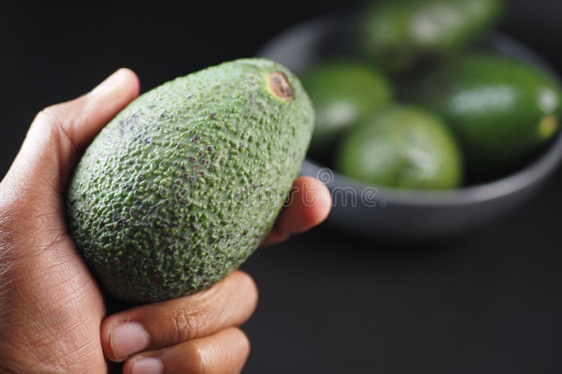 Closeup of Hand Holding a Avocado Stock Photo - Image of vegetarian ...