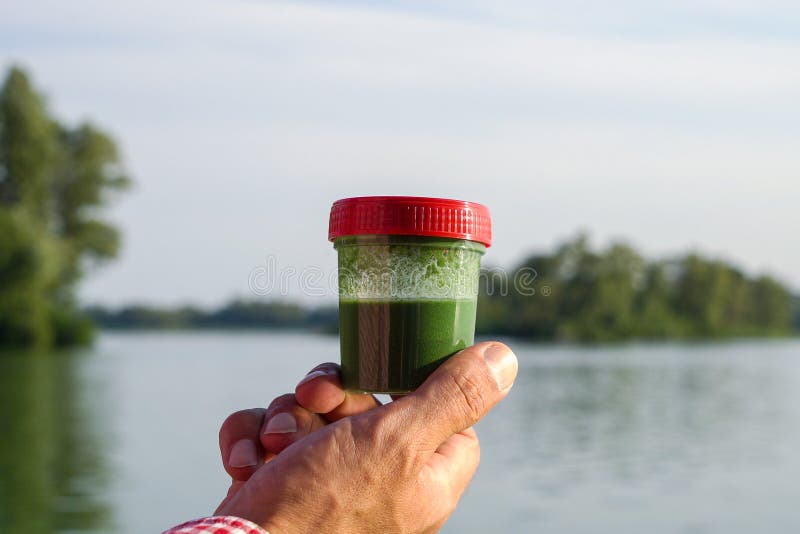 170 Algae Water Container Stock Photos - Free & Royalty-Free Stock ...