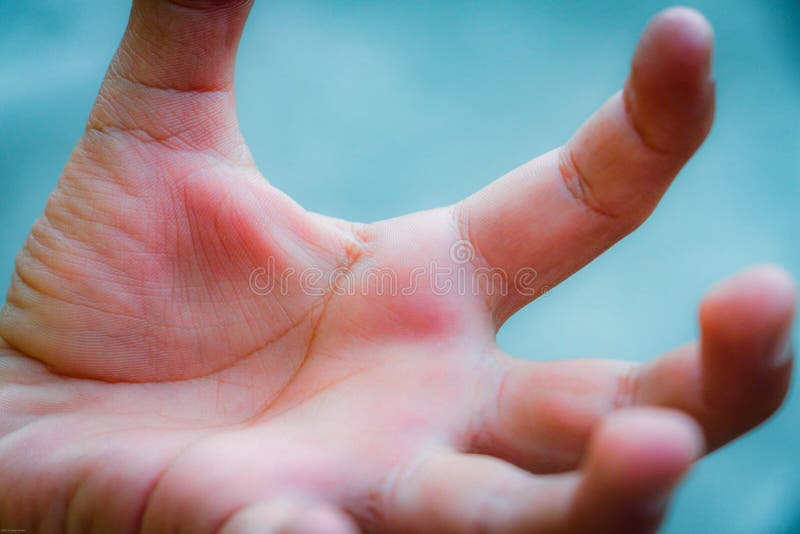 Closeup of a Hand Showing Fingers As a Grasping Gesture Stock Photo ...