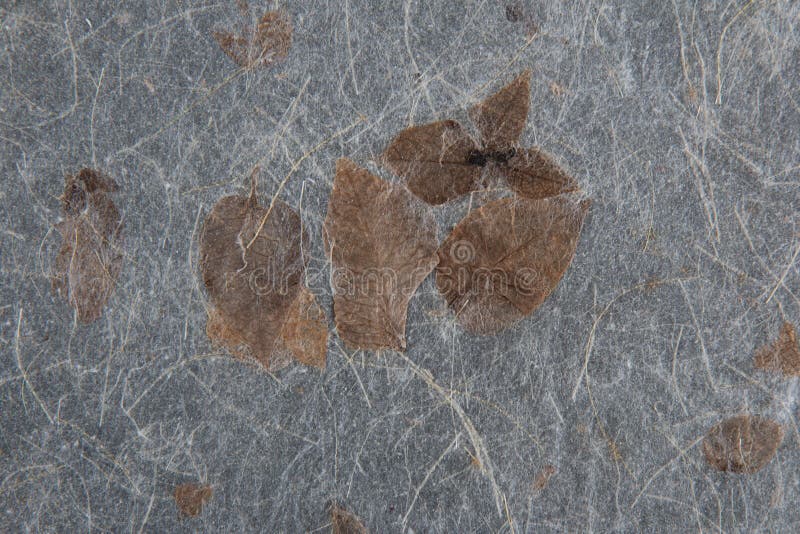 Closeup of Handmade Paper Texture Background. Recycled Paper Stock ...