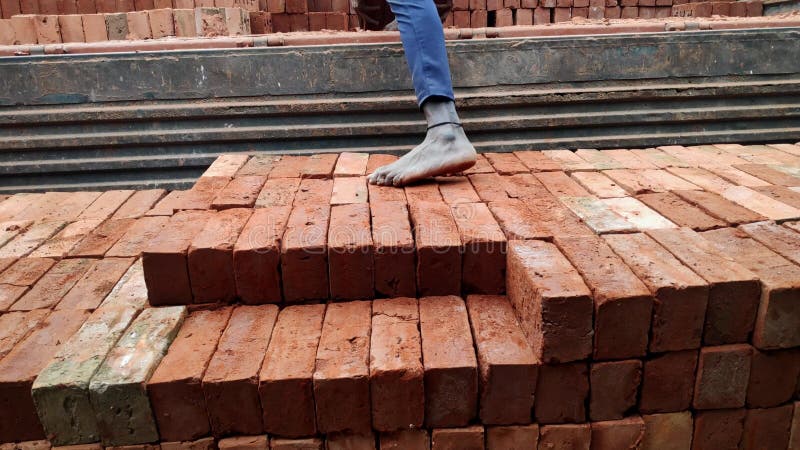 Unloading Bricks at a Construction Site Using a Crane and Workers ...