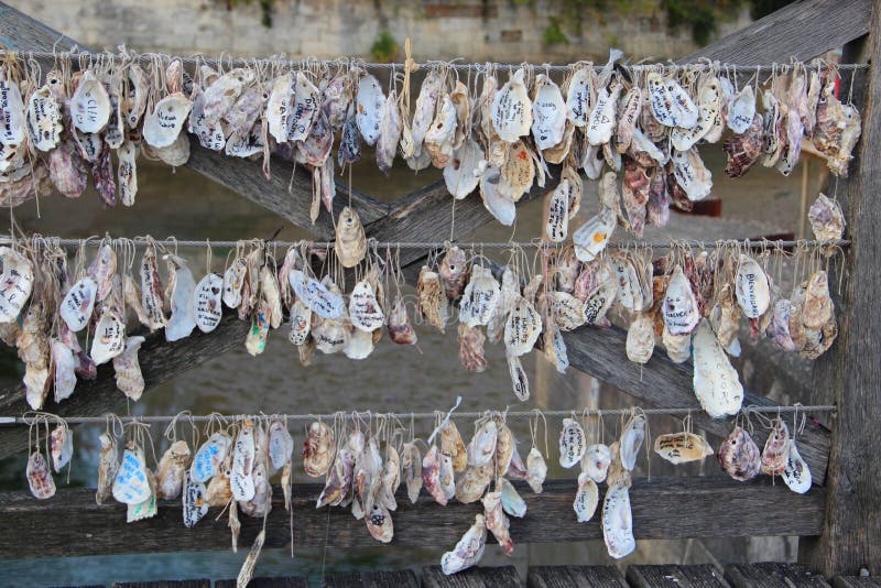 Closeup of Hanging Seashells with Texts Editorial Photography - Image ...