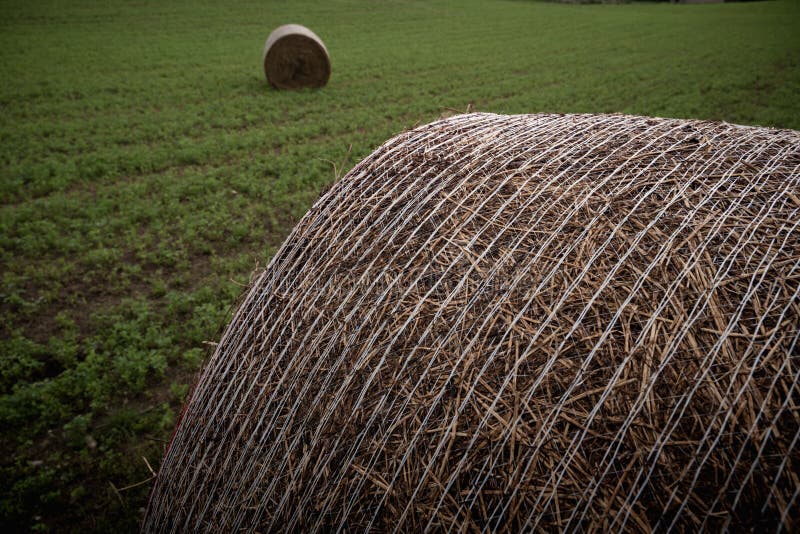 Closeup of Hay Roll in a Farmland Stock Image - Image of grass, nature ...