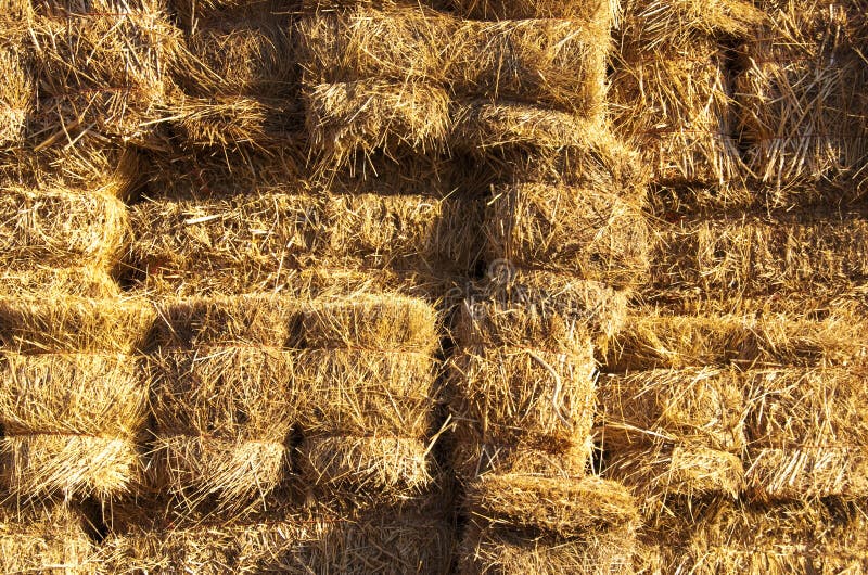 Closeup of a Haystack stock photo. Image of golden, yellow - 17218368