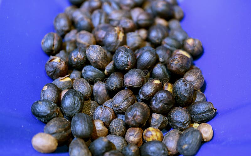 Heap of Natural Process Coffee Beans in a Vivid Blue Plate Stock Image ...