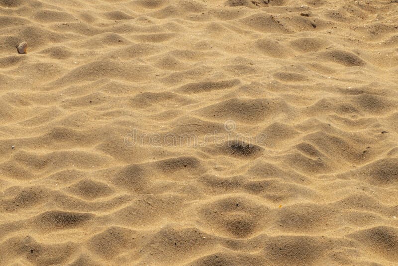 Closeup High Angle Shot of a Sandy Ground Stock Photo - Image of field ...
