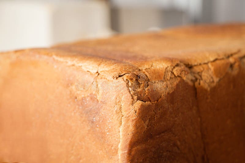 Closeup of Huge Bread Loaf stock image. Image of fresh - 61542345