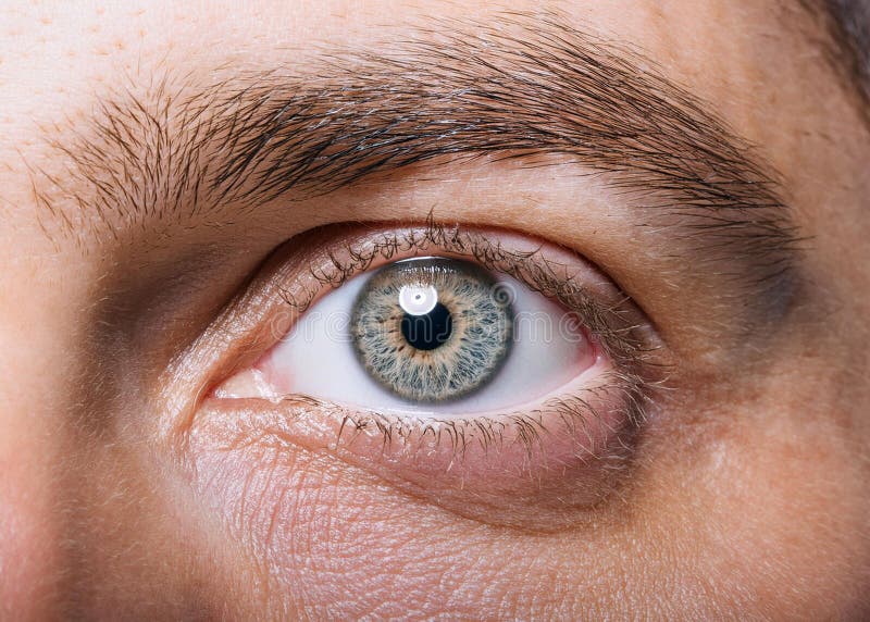 Closeup of a human eye stock photo. Image of face, brown - 350378940