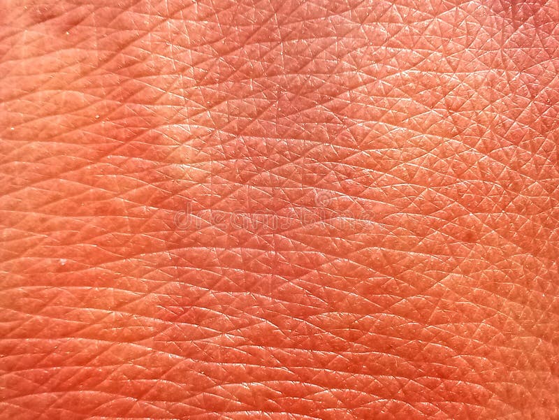 Closeup of Human Hand Skin Texture. Macro View of Hand Skin Stock Image ...