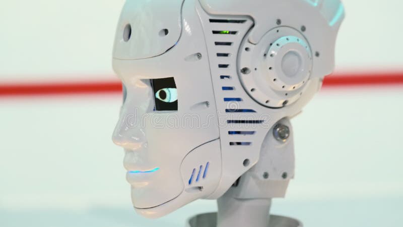 Closeup of Human Robot Blinking Eyes at Export Forum Stock Video ...