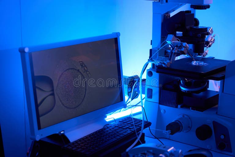 Closeup of ICSI Procedure in Lab Setting Stock Photo - Image of setting ...