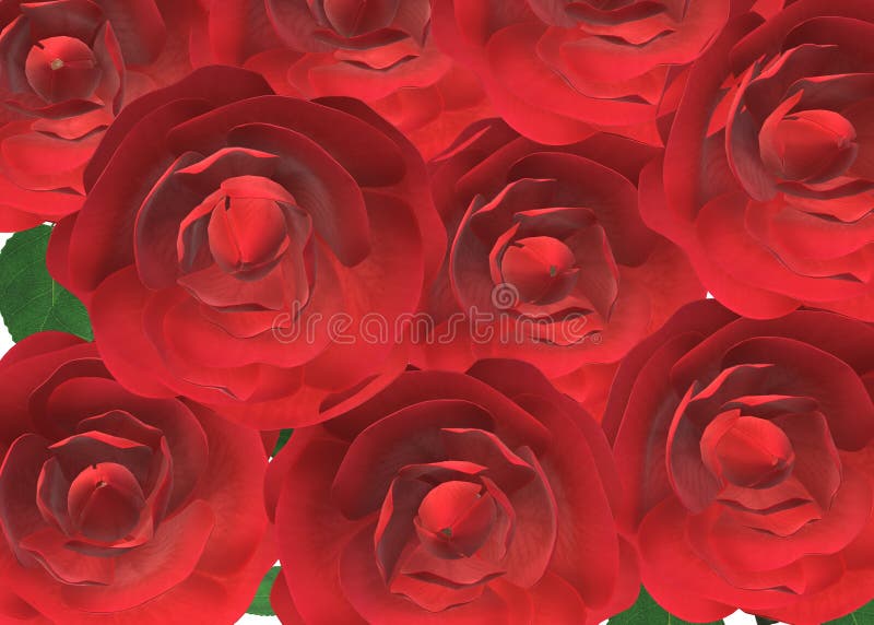 Closeup Illustration on a Bunch Bouquet Group of Closely Packed Red ...