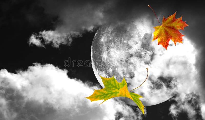 Closeup Image of Autumn Leaves on Moon Stock Photo - Image of bright ...