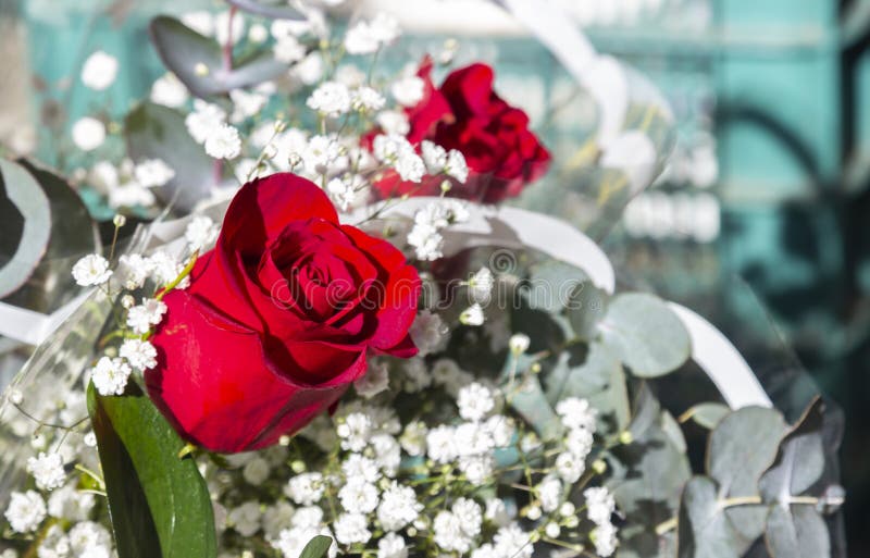 Closeup Image of Beautiful Passion Red Roses Stock Photo - Image of ...