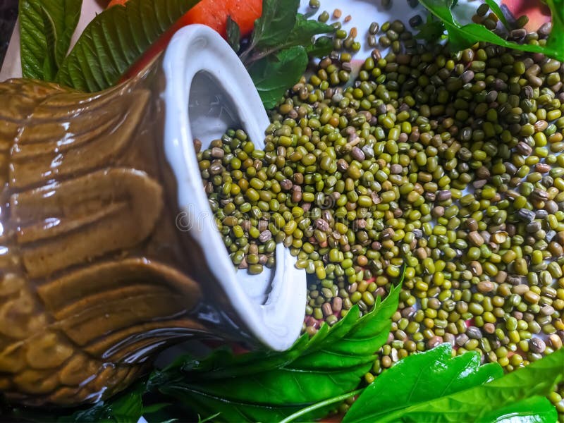 Green gram tree. stock photo. Image of family, plant - 183770026