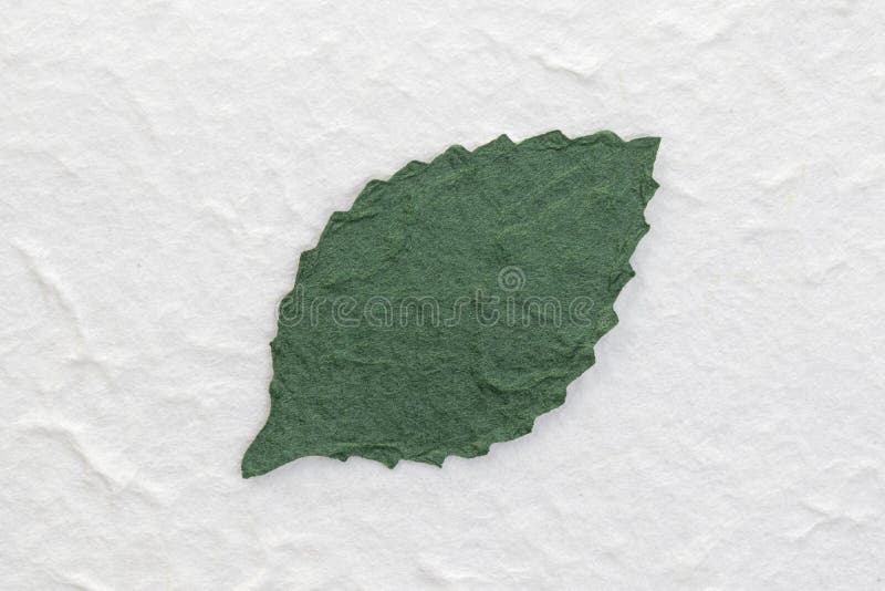 Closeup Image of a Leaf Cut Out of Green Textured Craft Paper Stock ...