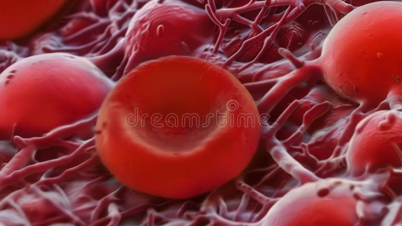 A Closeup Image of a Platelet a Tiny Discshaped Cell Involved in the ...